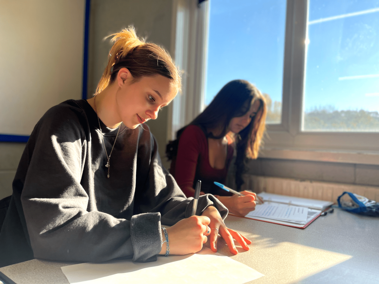 Home - Anthony Gell School